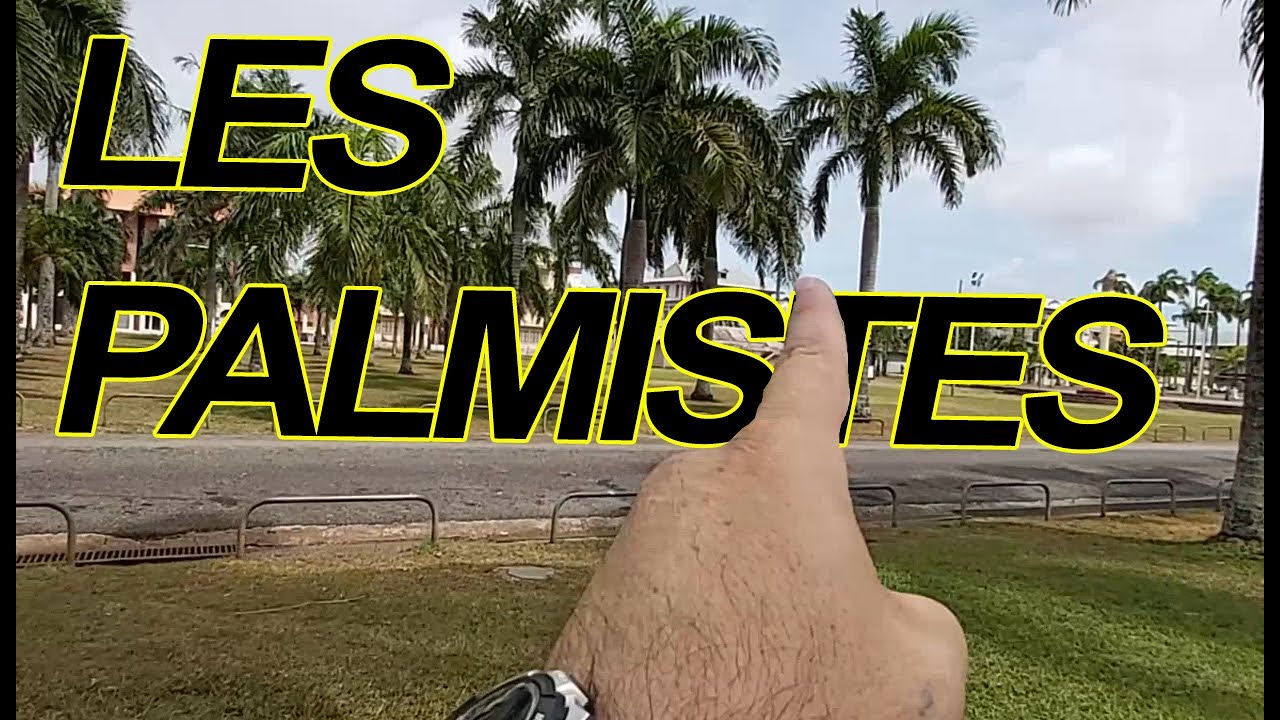 LA PLACE DES PALMISTES / A PRACA DAS PALMEIRAS - YouTube