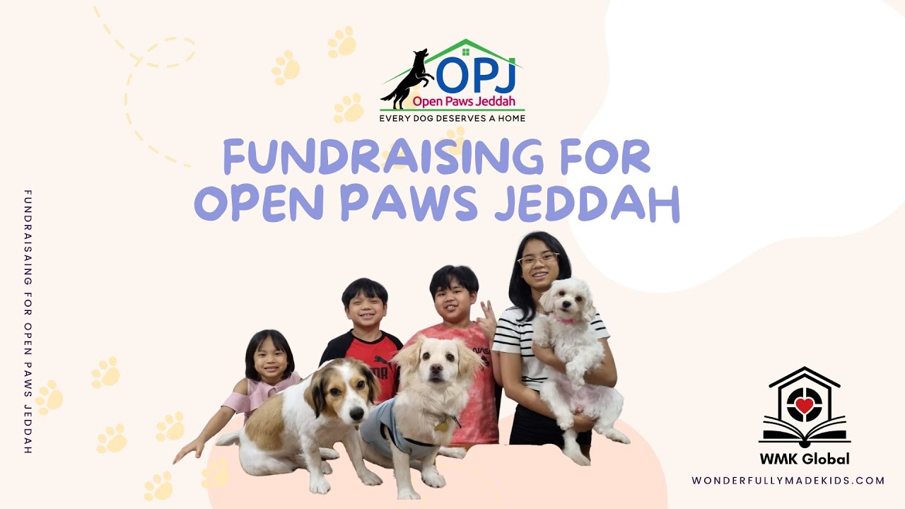 Fundraising for Open Paws Jeddah by Young Innovators ...