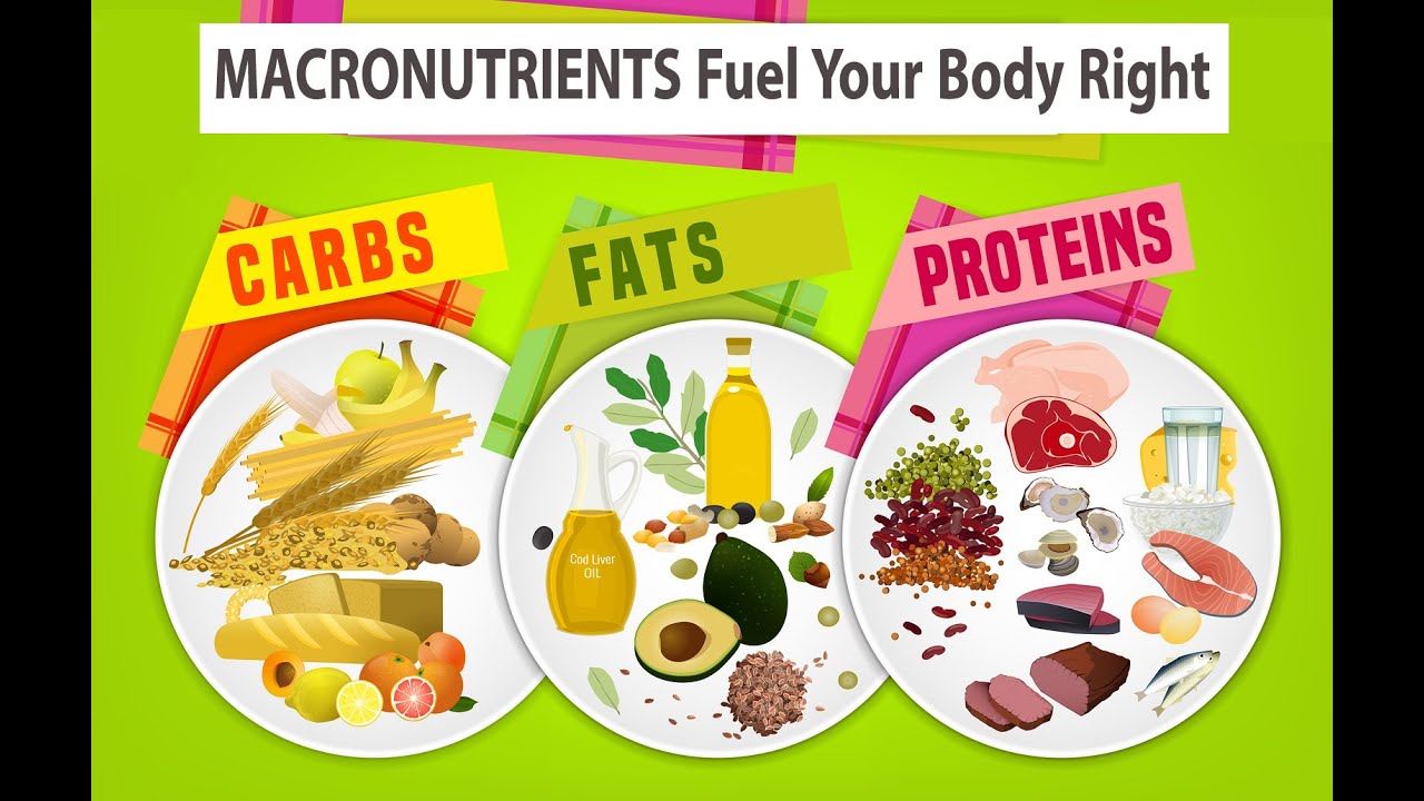 Macronutrients Fuel Your Body Right - YouTube