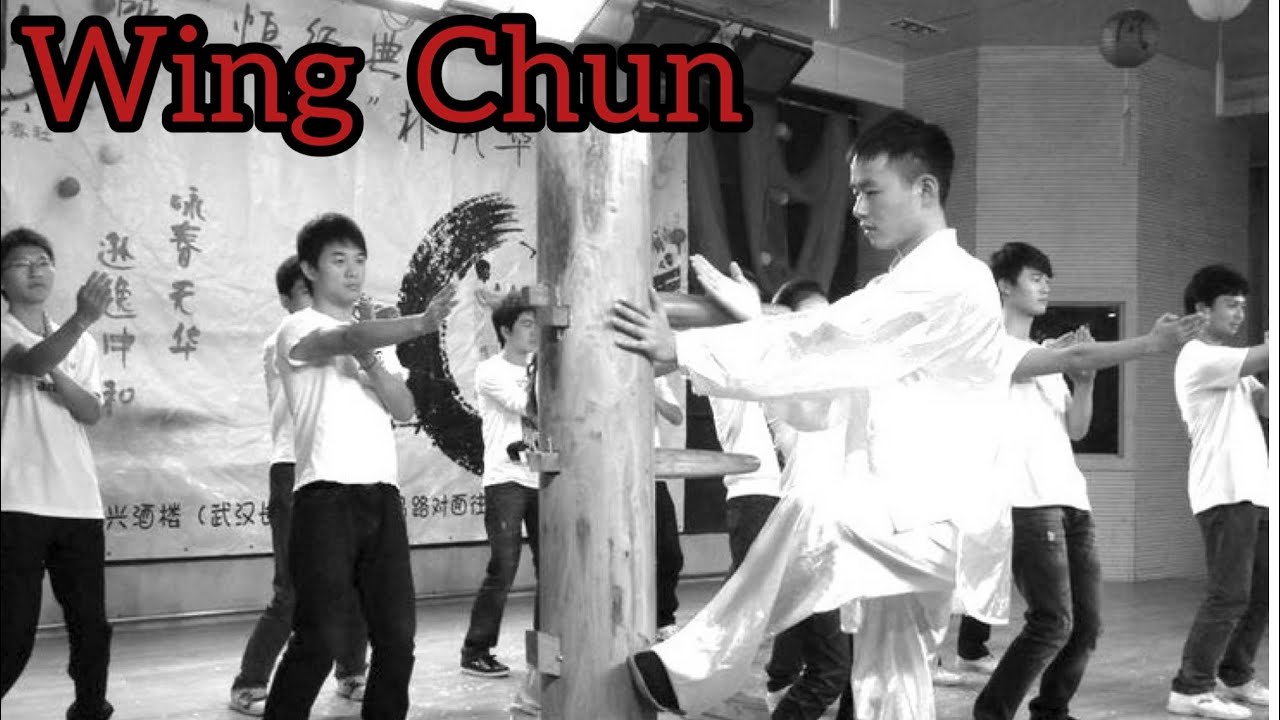 #12 daily kungfu training and tutorials / wing chun hands techniques ...