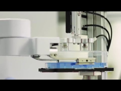 PreciseFlex Collaborative Robots Ideal for Plate Handling Applications - YouTube