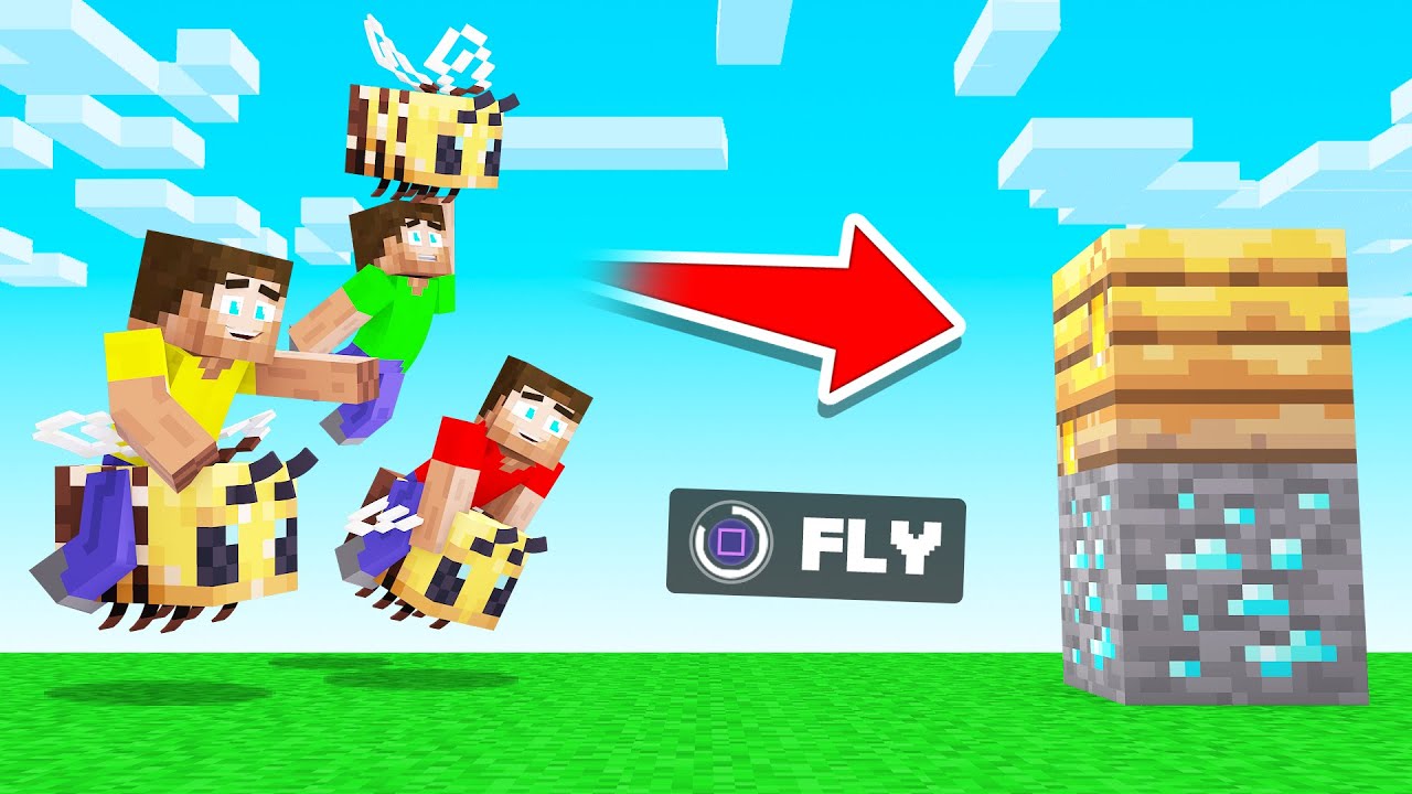 We Tried To Get DIAMONDS While RIDING BEES! (Minecraft) - YouTube