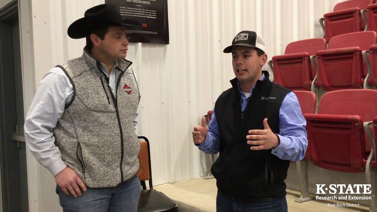 Cross Breeding Beef Cattle: Heterosis and Herefords - YouTube