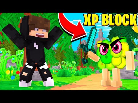 Minecraft Tapi XP Membunuhmu !