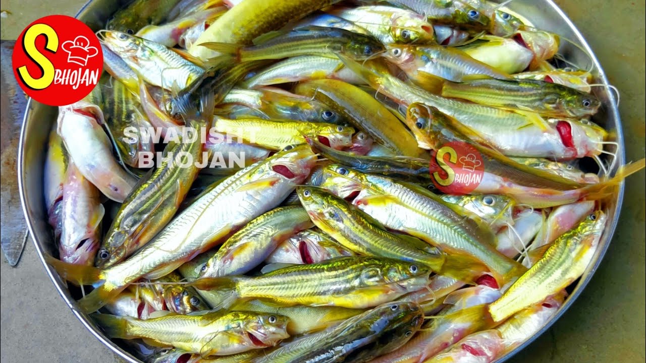 Desi choti tengna machli banane ka tarika छोटी देसी टेंगना मछली रसेदार ...