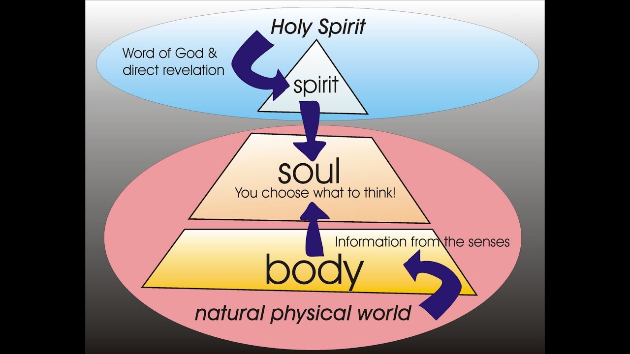 MAN (The Body, The Spirit and The Soul) - YouTube