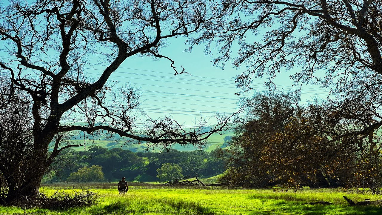 SYCAMORE GROVE PARK 2021 in 4K - YouTube