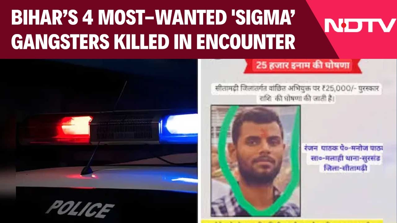 Sigma Gang News | 4 Most-Wanted Gangsters From 'Sigma Gang' Killed In ...