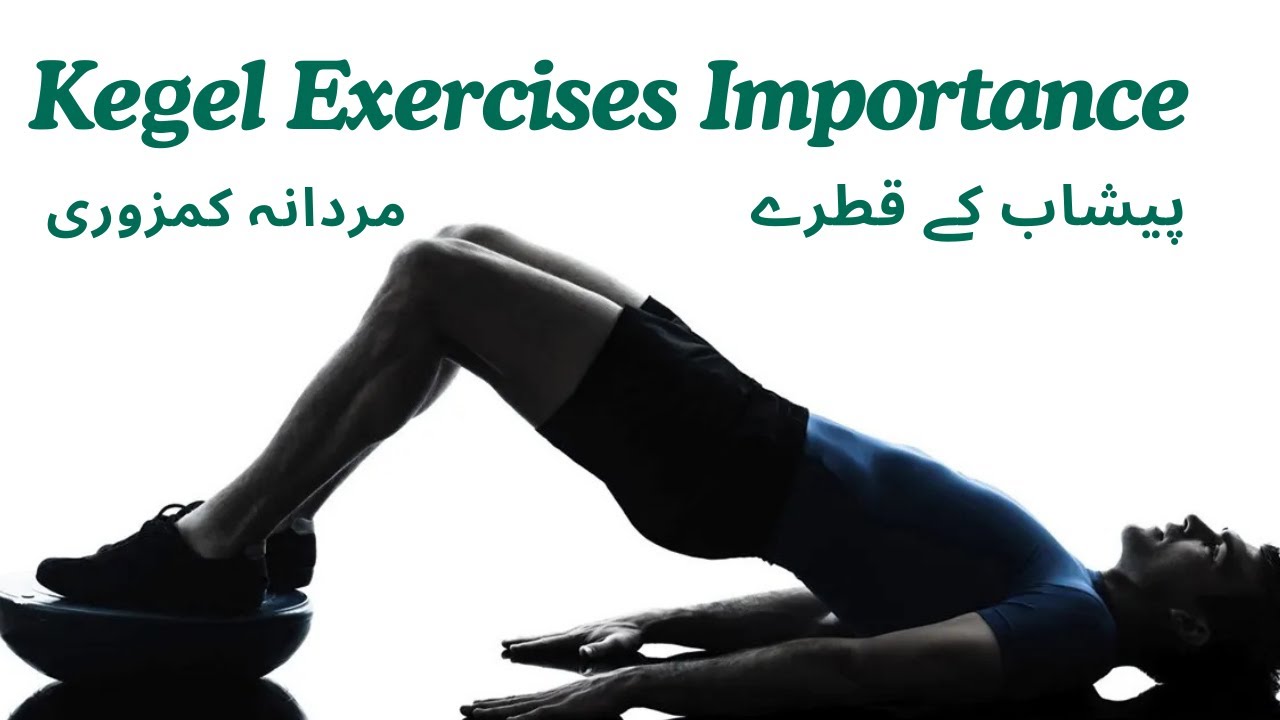 Pelvic Floor Muscles Exercises Importance || Urdu Hindi || PC Muscles ...