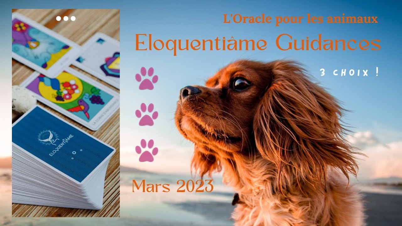 🐕 Le mois de mars de votre chien 🐕 Comment va-t-il ? Ses énergies et sa ...