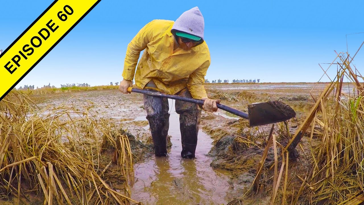The Rice Fields My Shovel Made! - YouTube