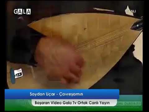 soydan uçar çavreşamın