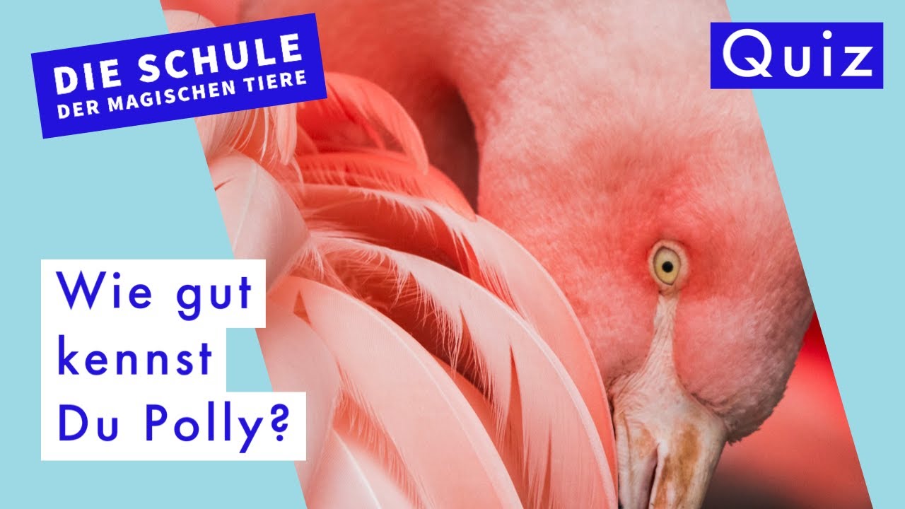Die Schule der magischen Tiere. Polly-Quiz - YouTube
