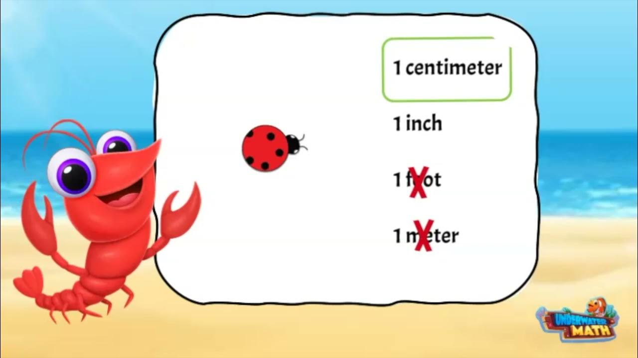 Estimate Length | 2nd Grade Math - YouTube