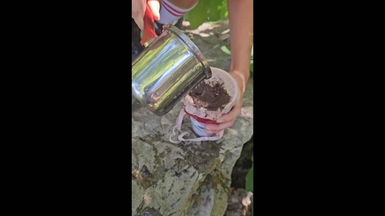 Survival Outdoor Cooking: Campfire Recipes - YouTube