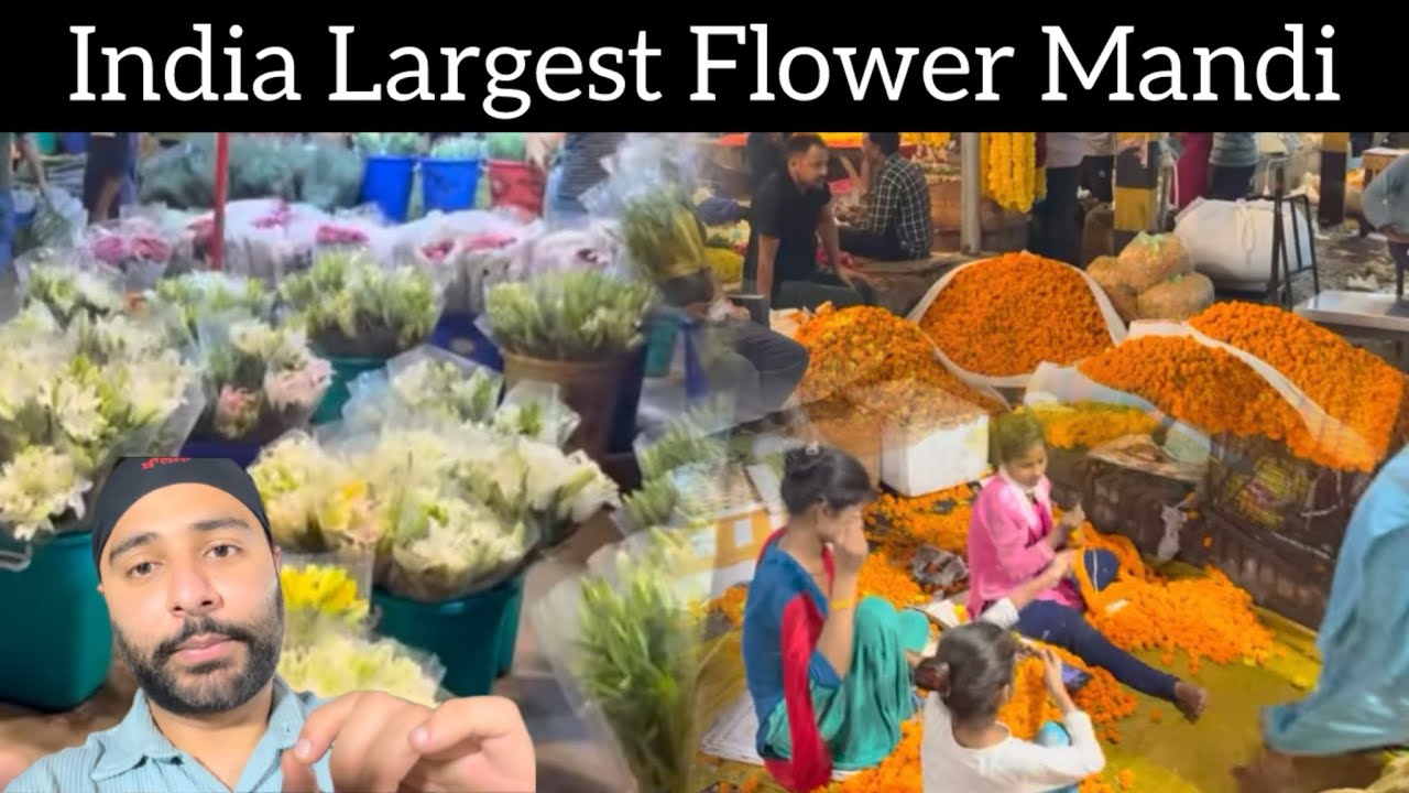 Exploring India Biggest Gazipur Flower Mandi !! Anmoloberoivlogs - YouTube