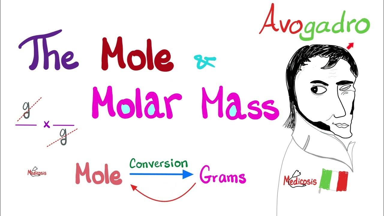 The mole & Molar Mass | Formula Unit, Mass | Avogadro's Number (with ...