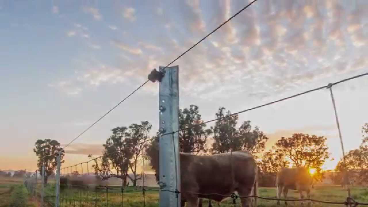 CLIPEX - Fencing and Stockyards - YouTube