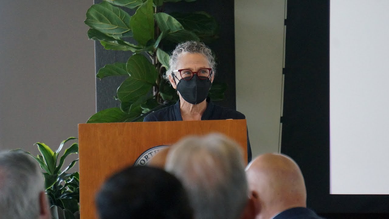 Technical and Extra-Technical Touchstones of Trust in AI - Harvard ...