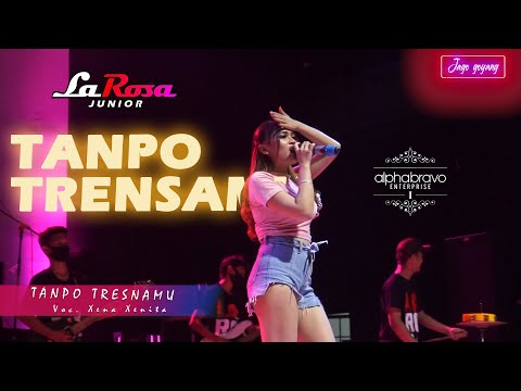 TANPO TRESNAMU ~ MIKE YOLANDA MAKIN HARI MAKIN SEGER!!!