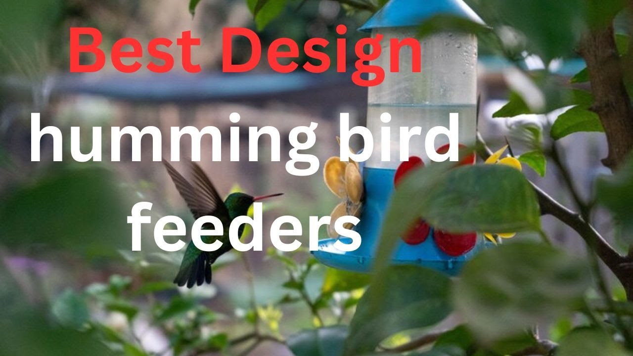 The new best design hummingbird feeders for outdoors. - YouTube