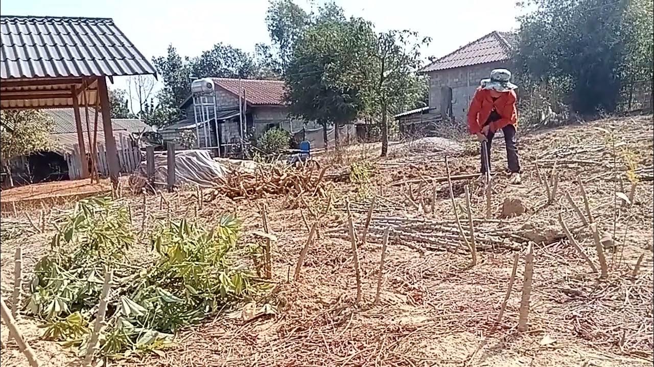 khawb qos hnub no - YouTube