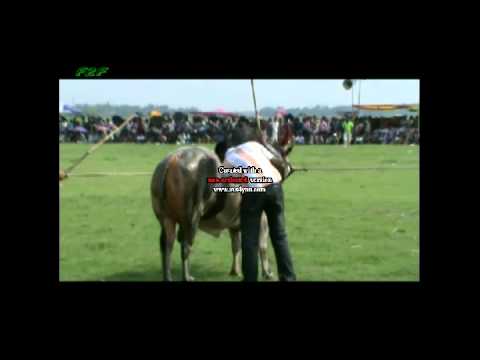 bangladesh bull fight( Nanu miah) "Gondar" vs danis 4(jamal ahmed)part 1 - YouTube