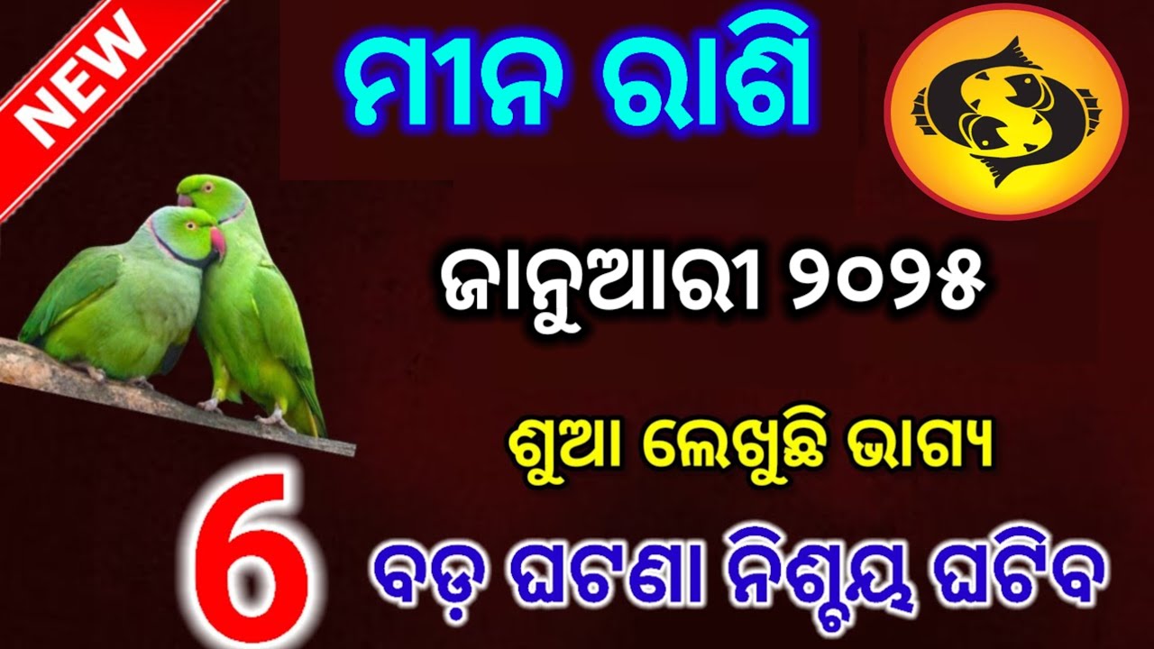 ଖୁସି ଆସିଗଲ ମୀନ ରାଶି ପାଇଁ ଜାନୁଆରୀ ମାସ/Meen rashi January 2025 odia/ Mina ...