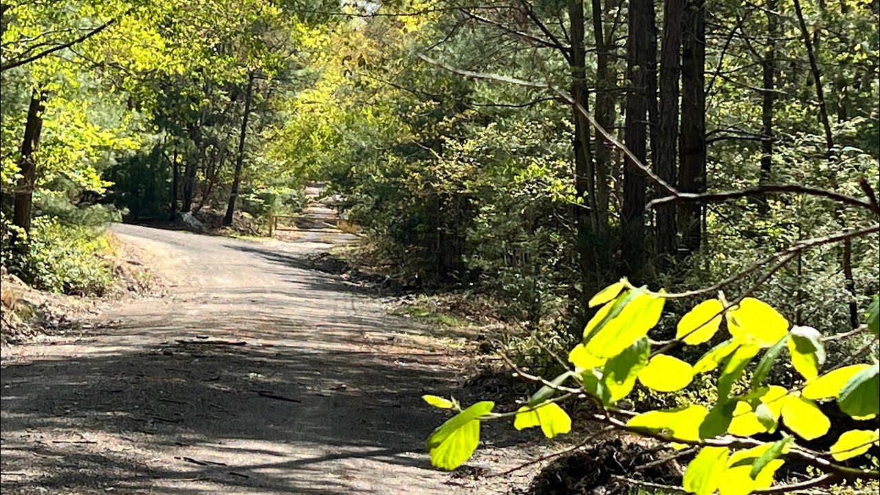 Piney Mountain Ridge Road | Michaux State Forest Pennsylvania - YouTube