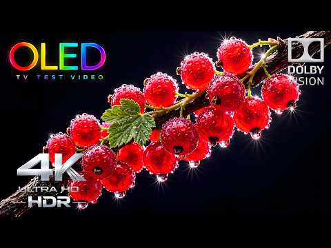 Watch These Colors Jump Out of the Black | 4K HDR 60FPS OLED Screen Color Test (4K Video Ultra HD)