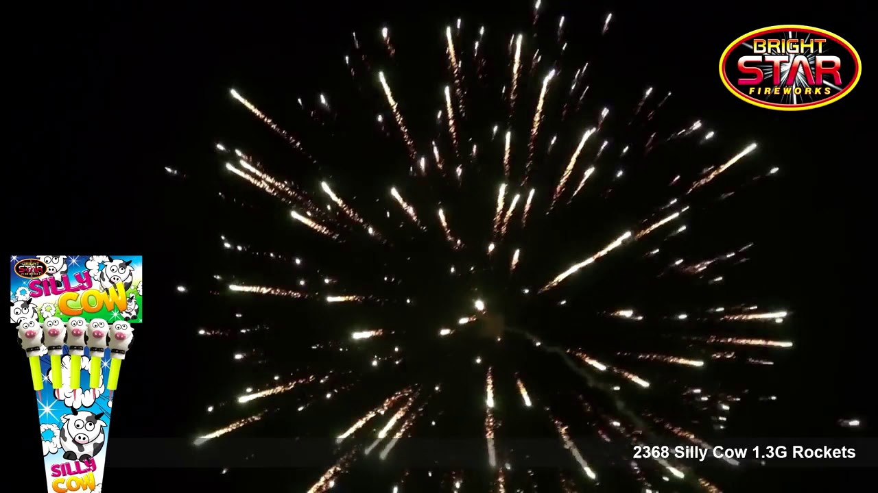 Silly Cow Rockets Bright Star Fireworks - YouTube