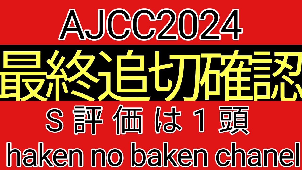 AJCC2024 最終追切確認 S評価は1頭 - YouTube