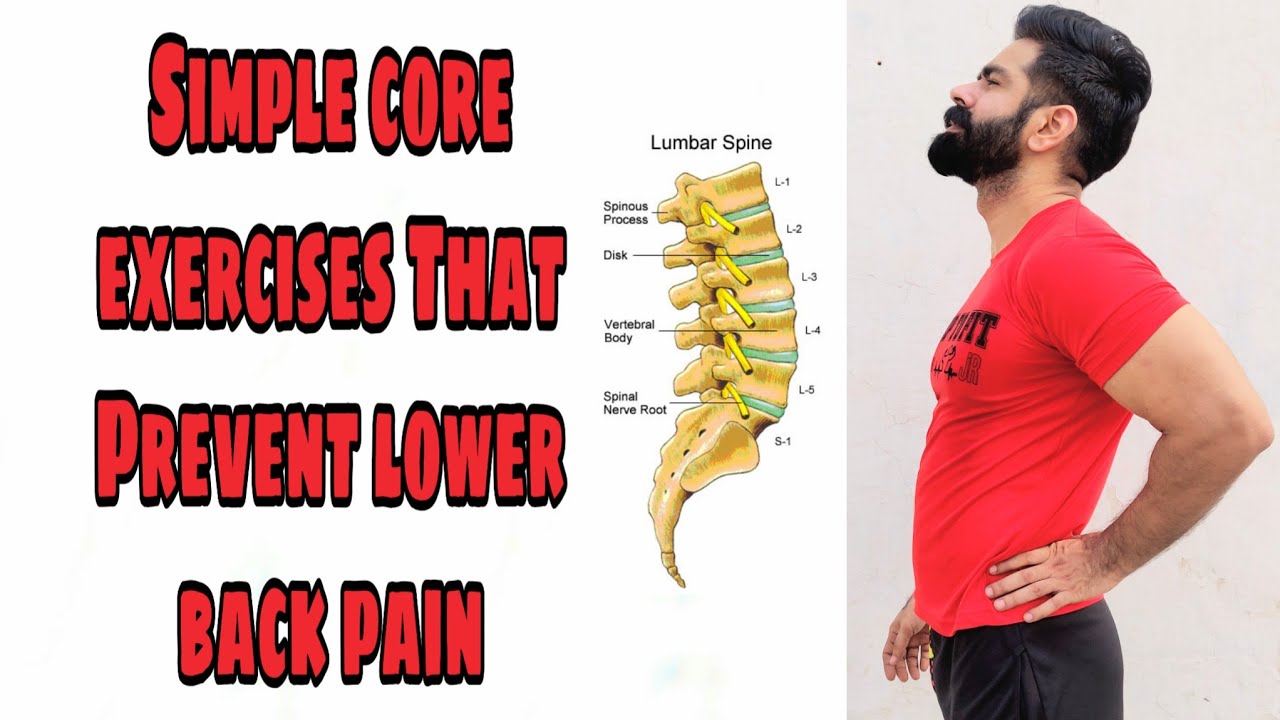 Simple Core Exercise That Prevent Lower Back Pain - YouTube