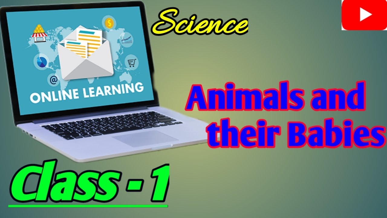 Class - 1, Science // Animals and their babies // Chapter - 5 // - YouTube
