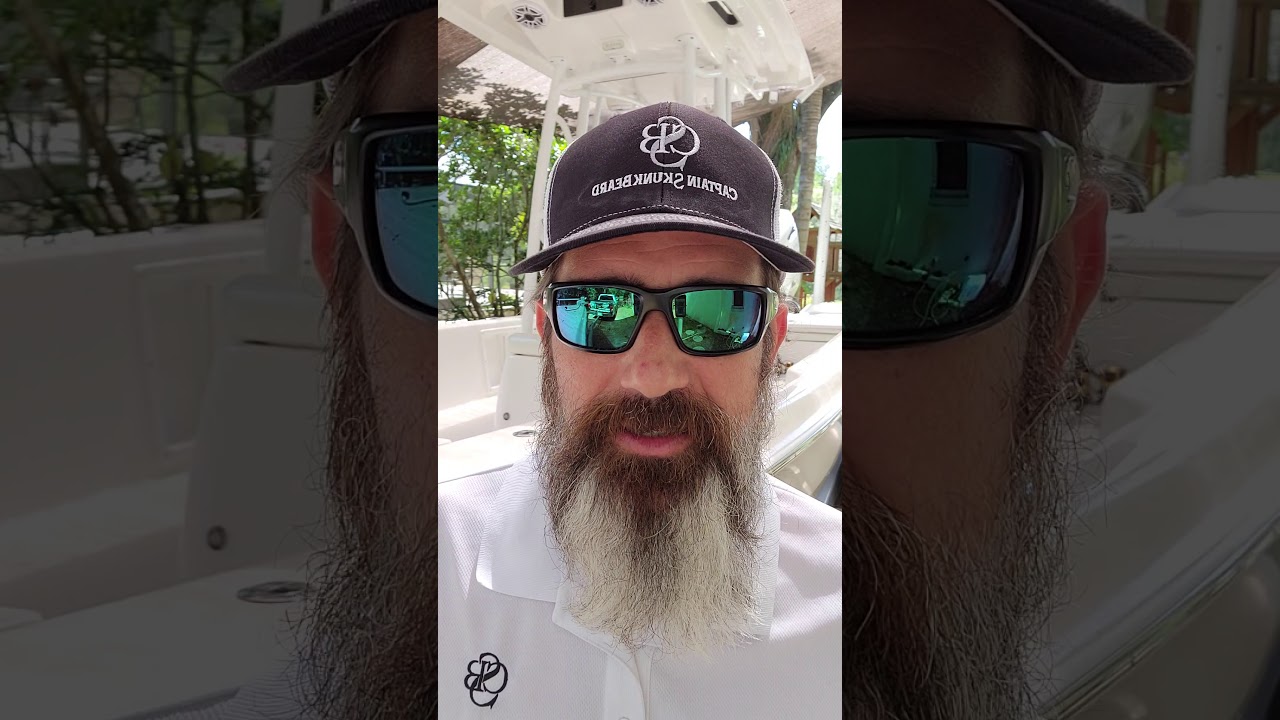 Skunk Beard's Tampa Bay Fishing Report "Whats Hot" - YouTube