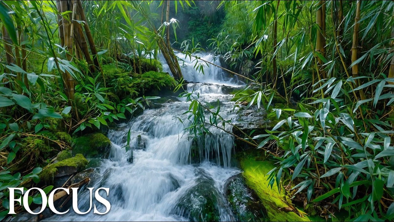 Soothing Mountain Stream Sounds - Perfect Nature Ambience for Sleep ...