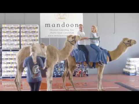 Media Today - Thirsty Camel TVC Christmas 2016 - YouTube