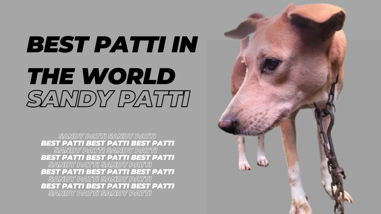 The best patti in the world is sandy patti - YouTube