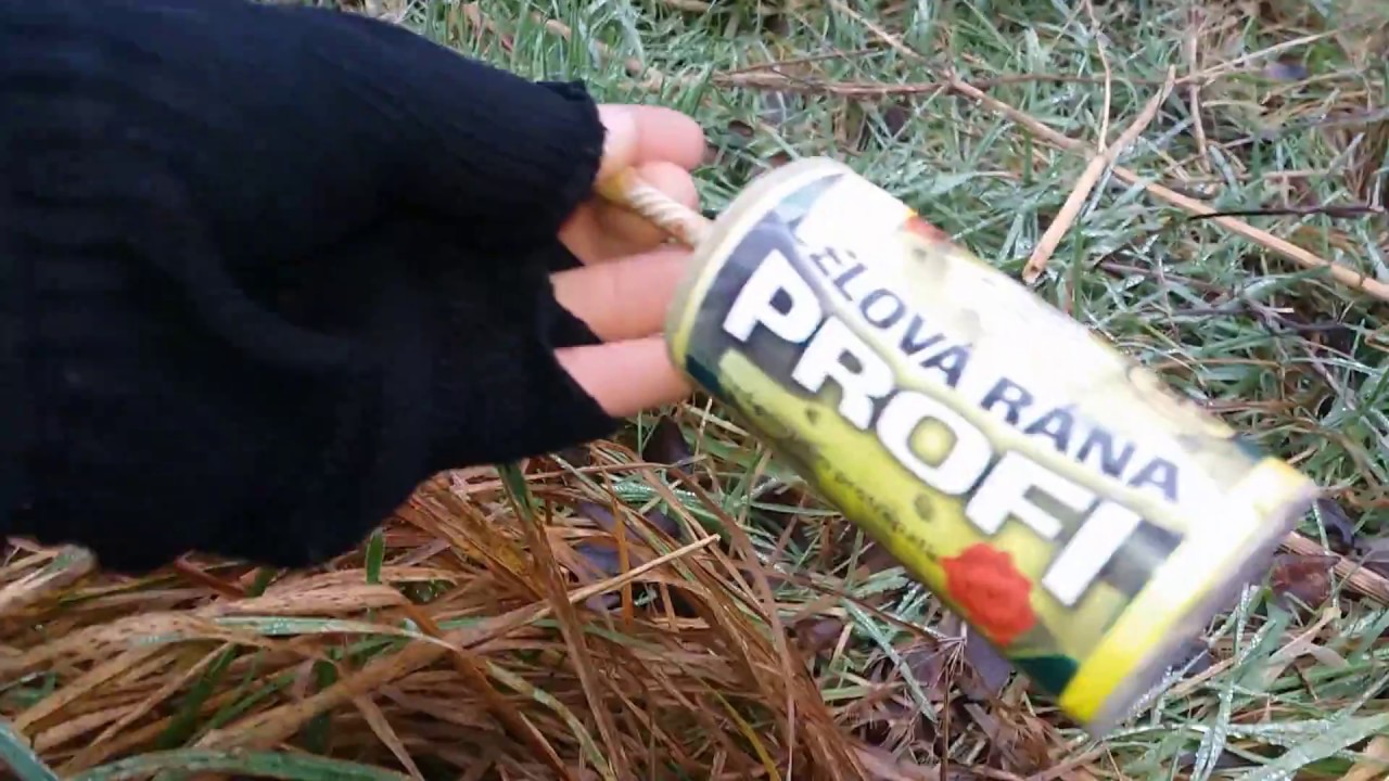 Delova Rana Profi (2016-2017) - YouTube