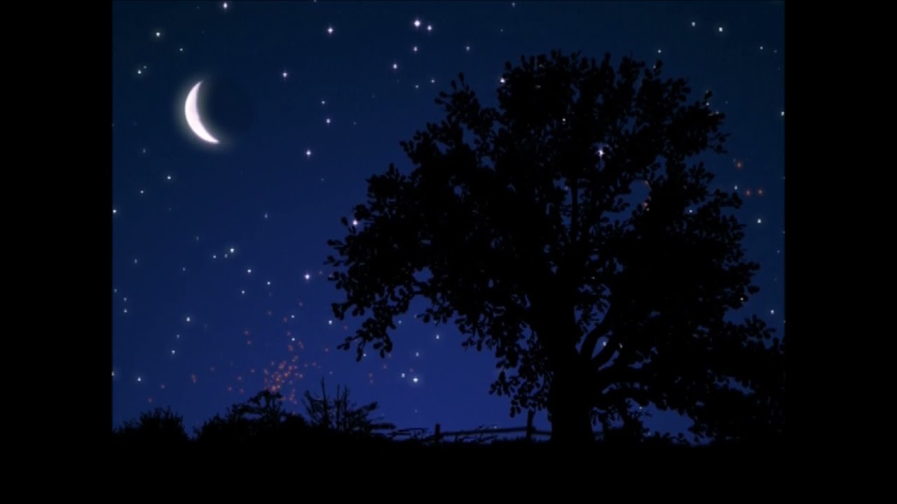 Terry Rice Milton - Opening Night 1970 ((Stereo)) - YouTube