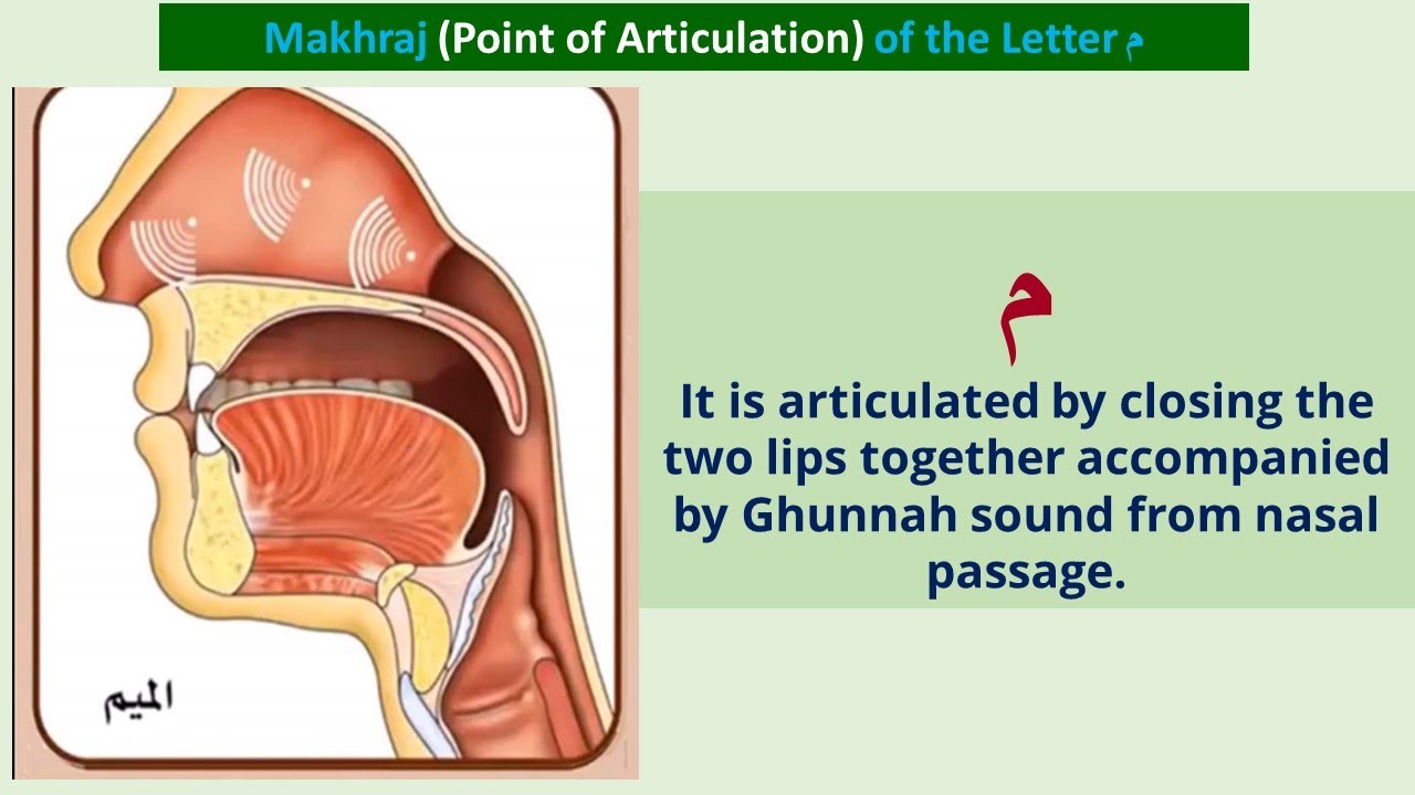 Letter م Makhraj Practice / Articulation point of the letter Meem - YouTube