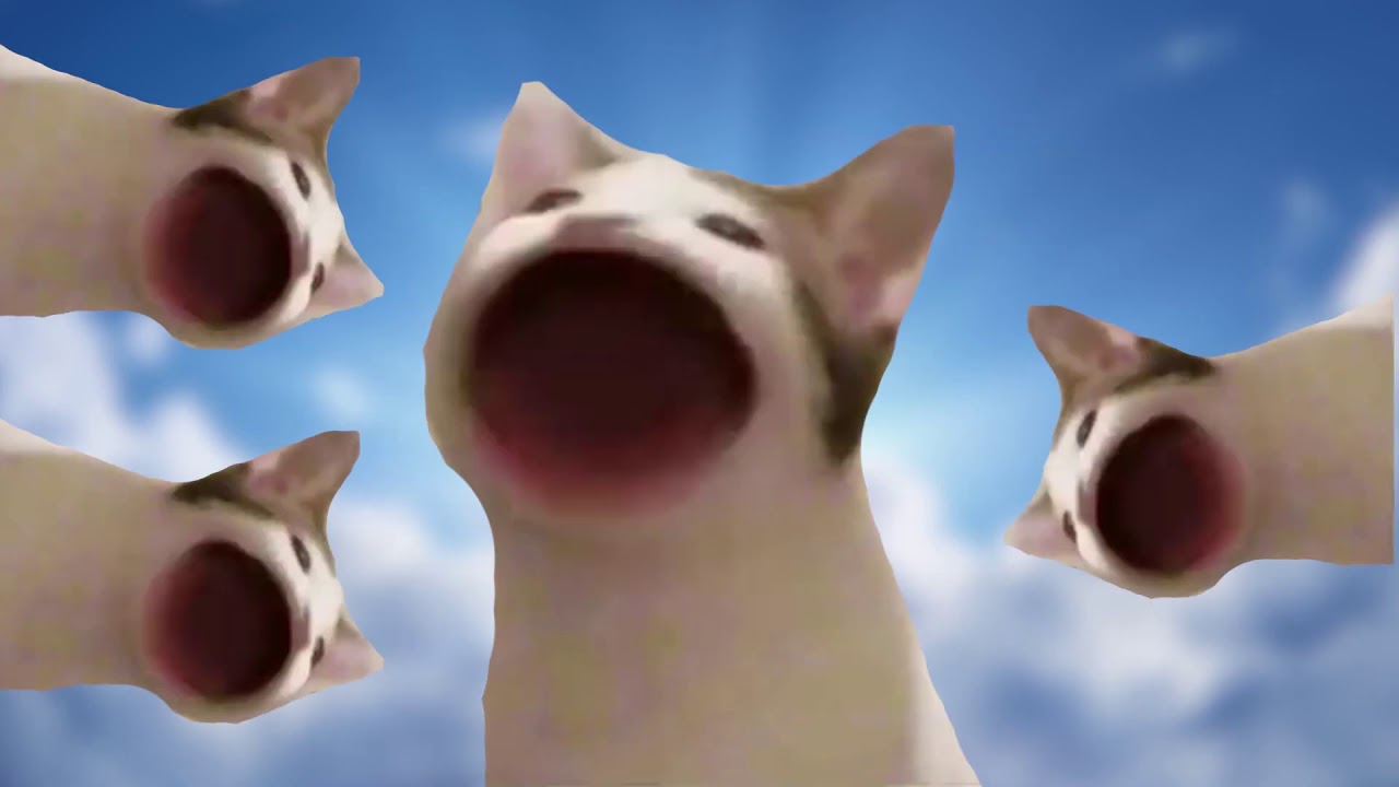CAT 1 HOUR - YouTube