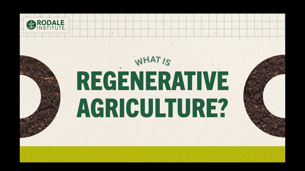 Regenerative organic agriculture, according to Rodale Institute - YouTube