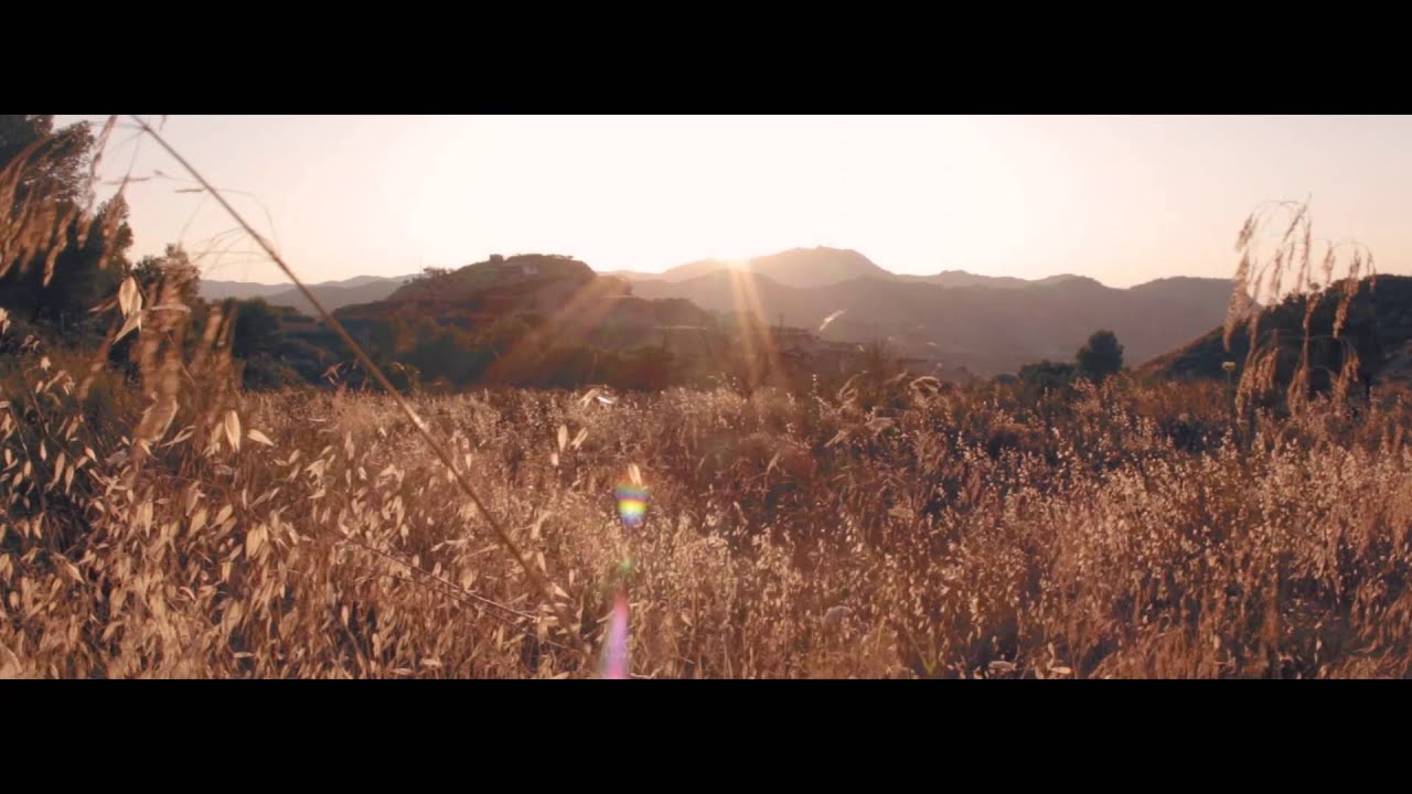 Lecciones de la Naturaleza - Lessons from Nature - YouTube