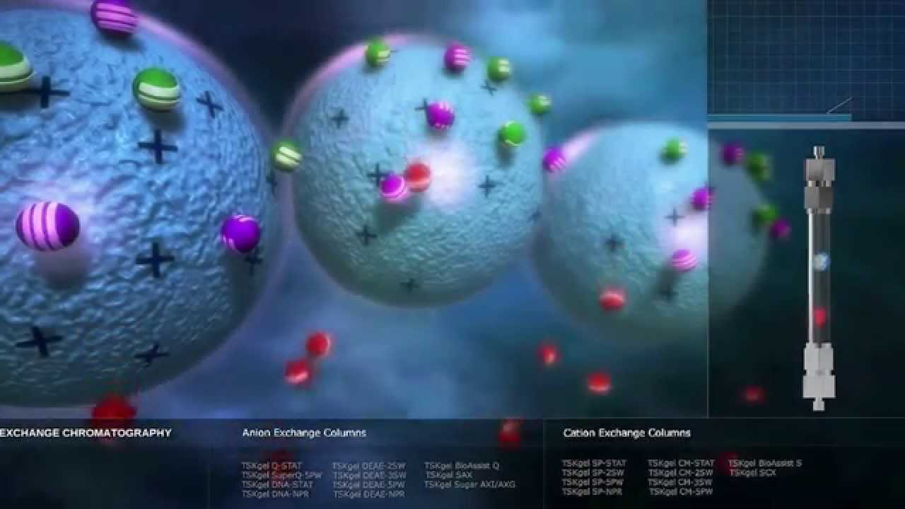 Principles Of Chromatography YouTube principles-of-chromatography-youtube