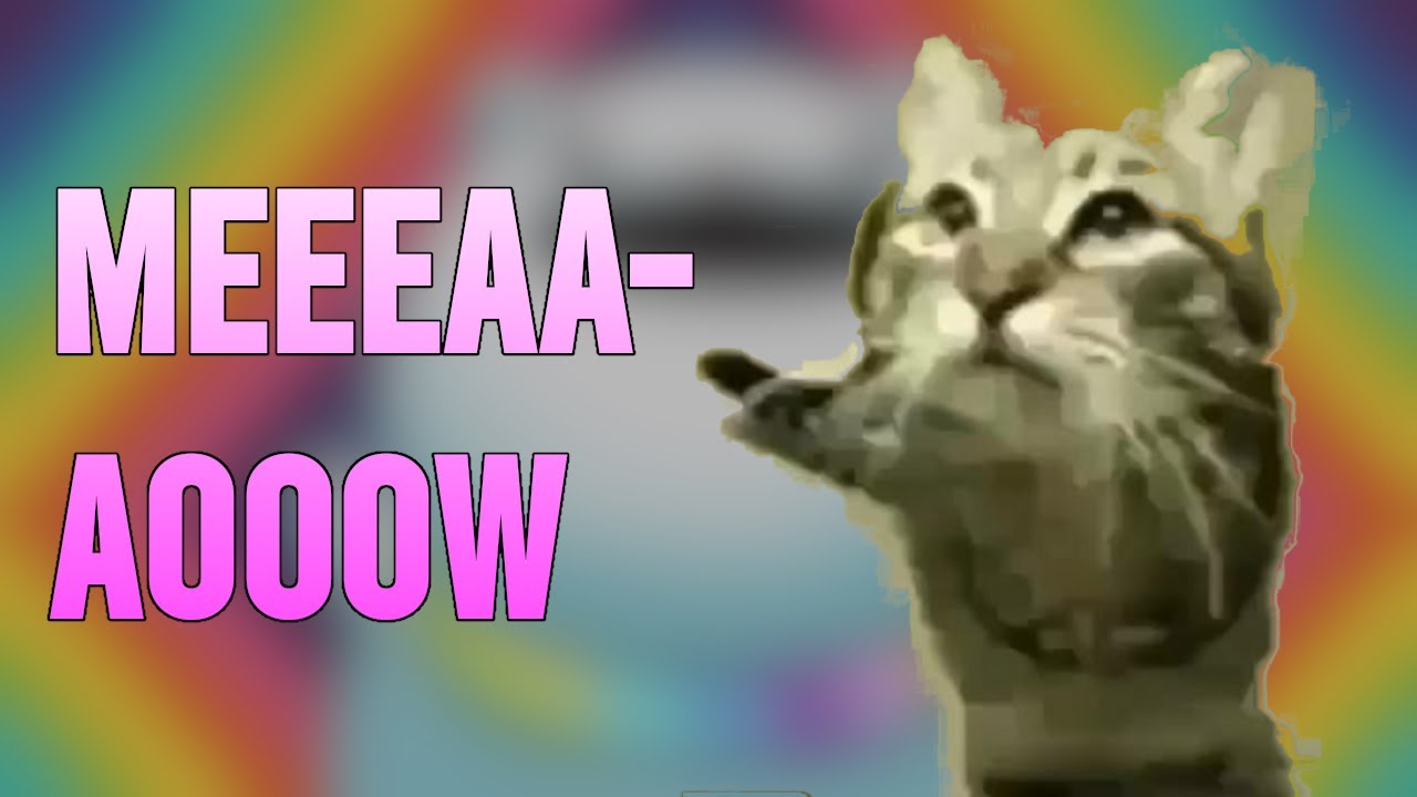 EEEAAAOOO (Meowsynth) - YouTube
