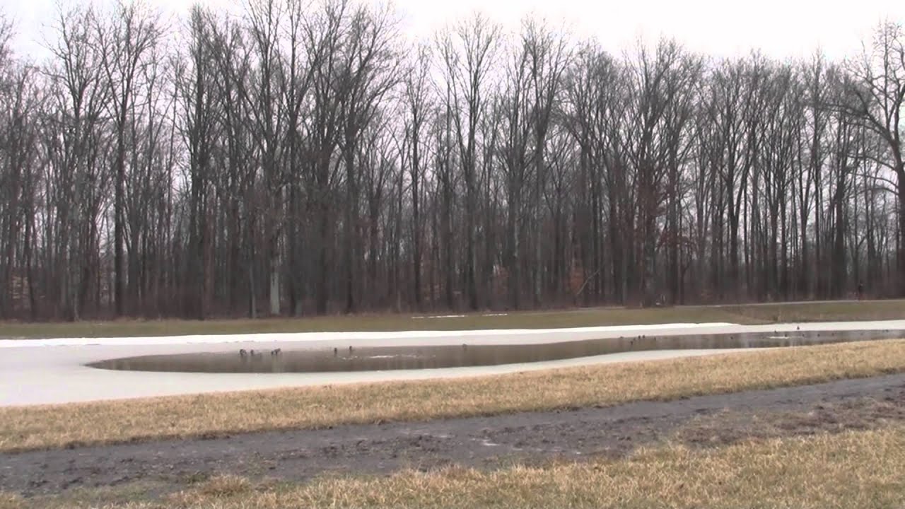 Young Reporters for the Environment-United States Story - The History ...