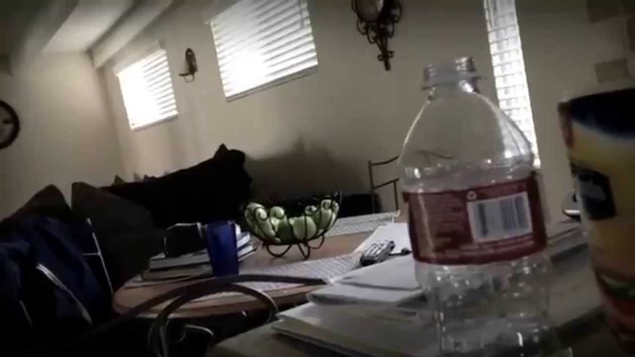 Lana Del Rey - Ride OFFICIAL music video sneak peak.. - YouTube