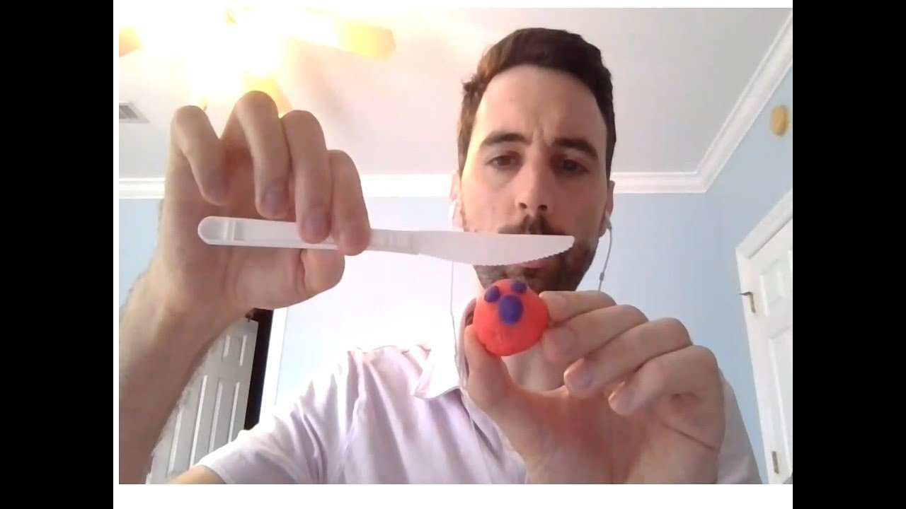 Introduction to A and P: Anatomical Planes and Views - YouTube