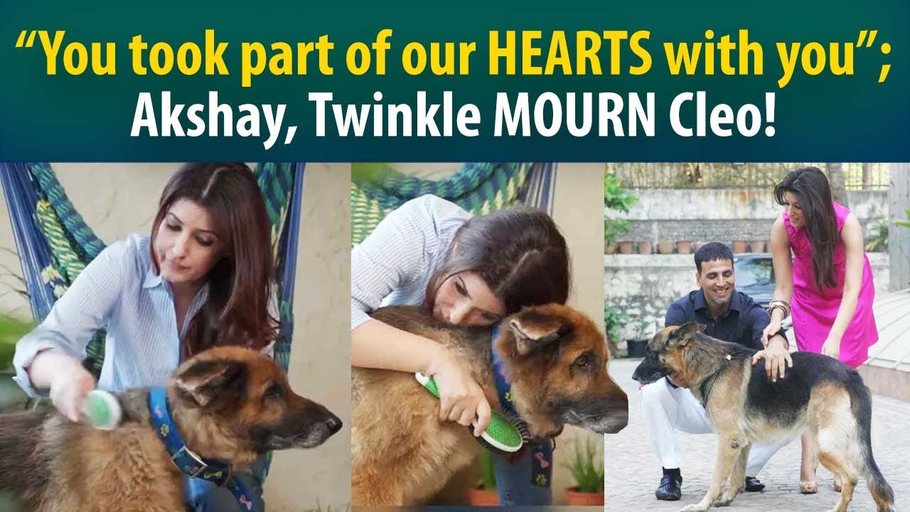 Watch the moving posts of Akshay Kumar &Twinkle Khanna on pet dog Cleo ...
